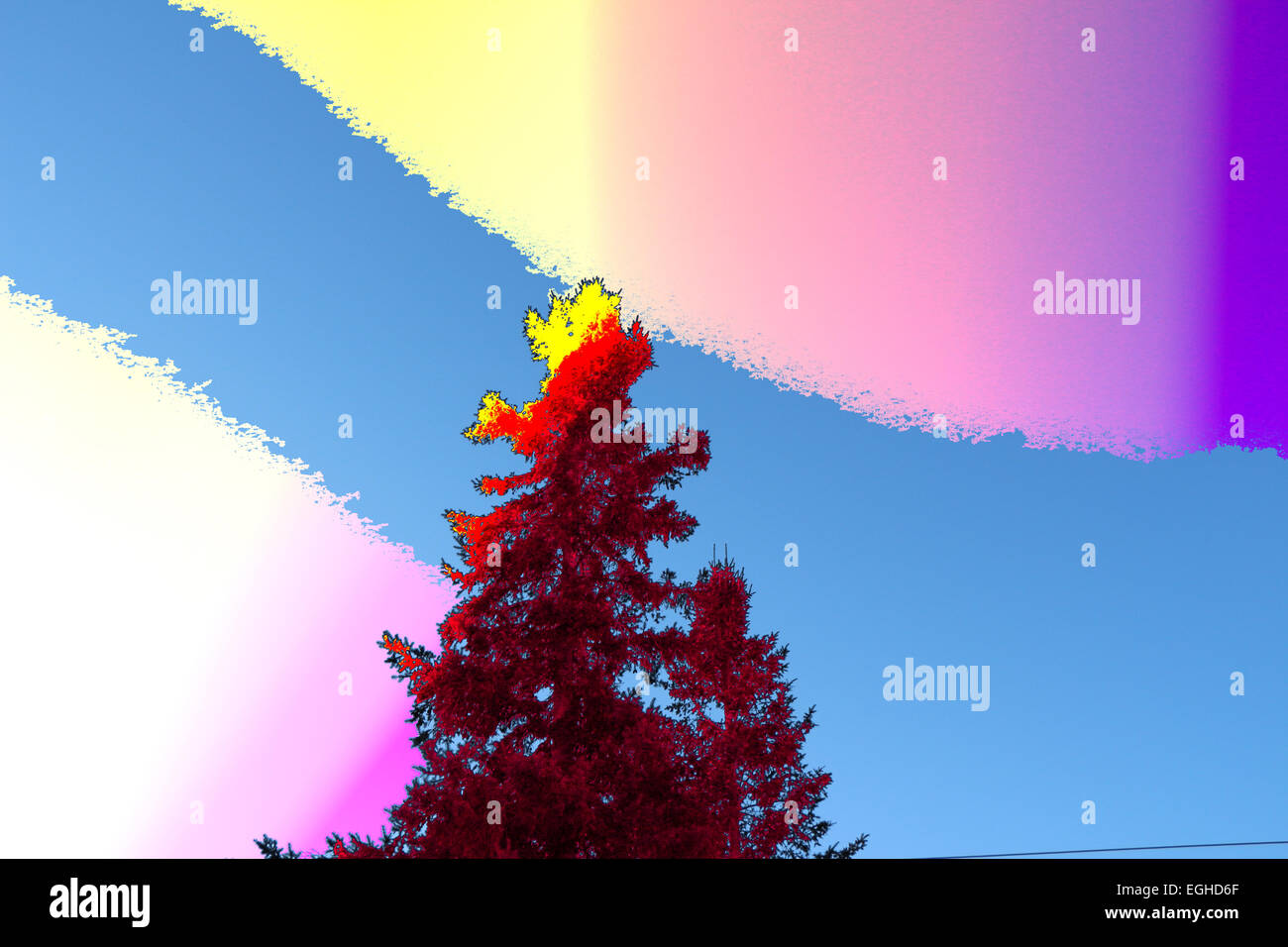 abstract trees architectural detail background trees blue color image ...