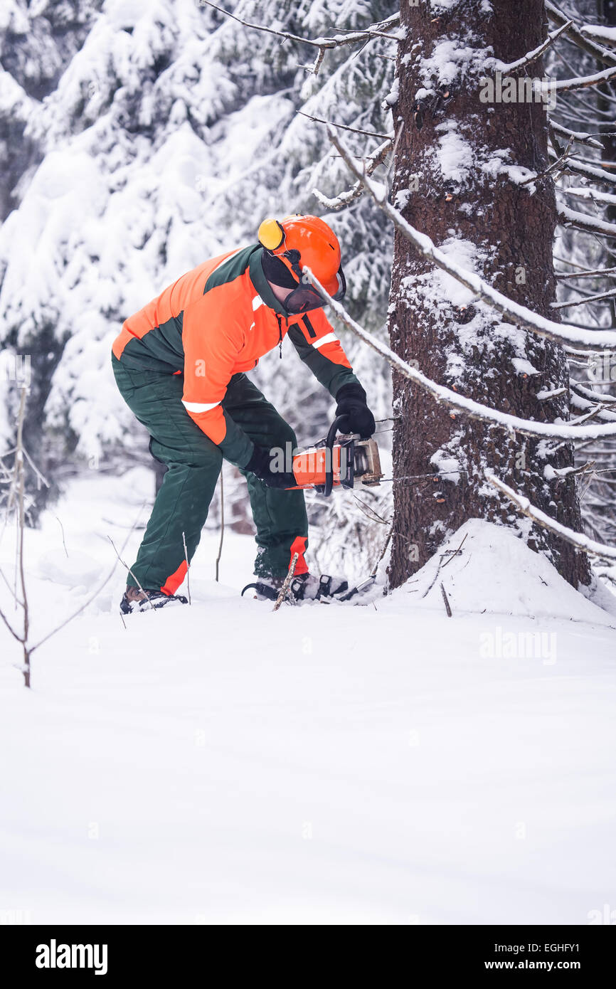 Woodcutter in forest hi-res stock photography and images - Alamy