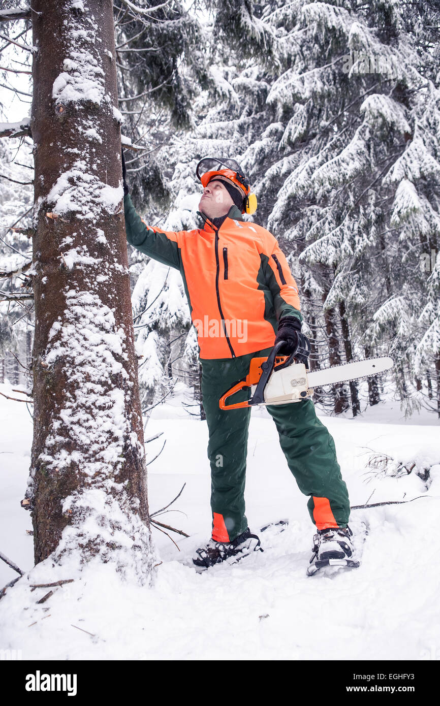 Woodcutter in forest hi-res stock photography and images - Alamy