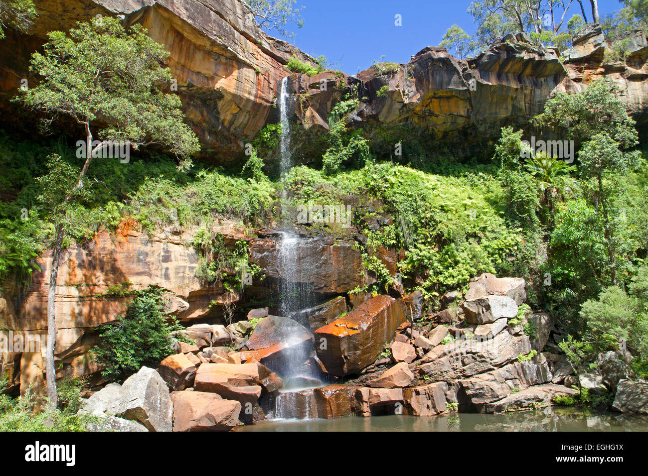 Blackdown tableland national park hi-res stock photography and images ...