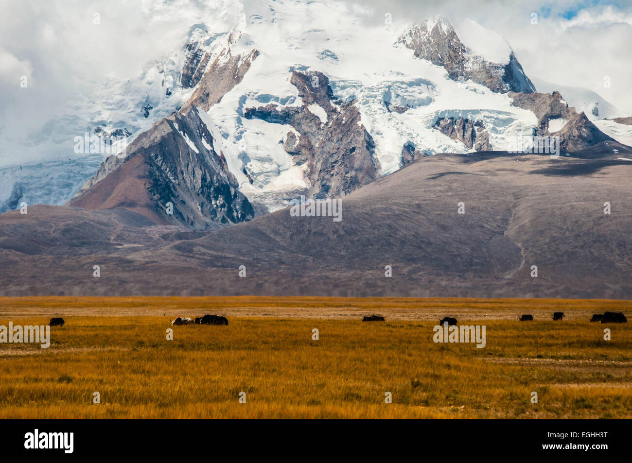 Shishapangma at Tibet Stock Photo - Alamy
