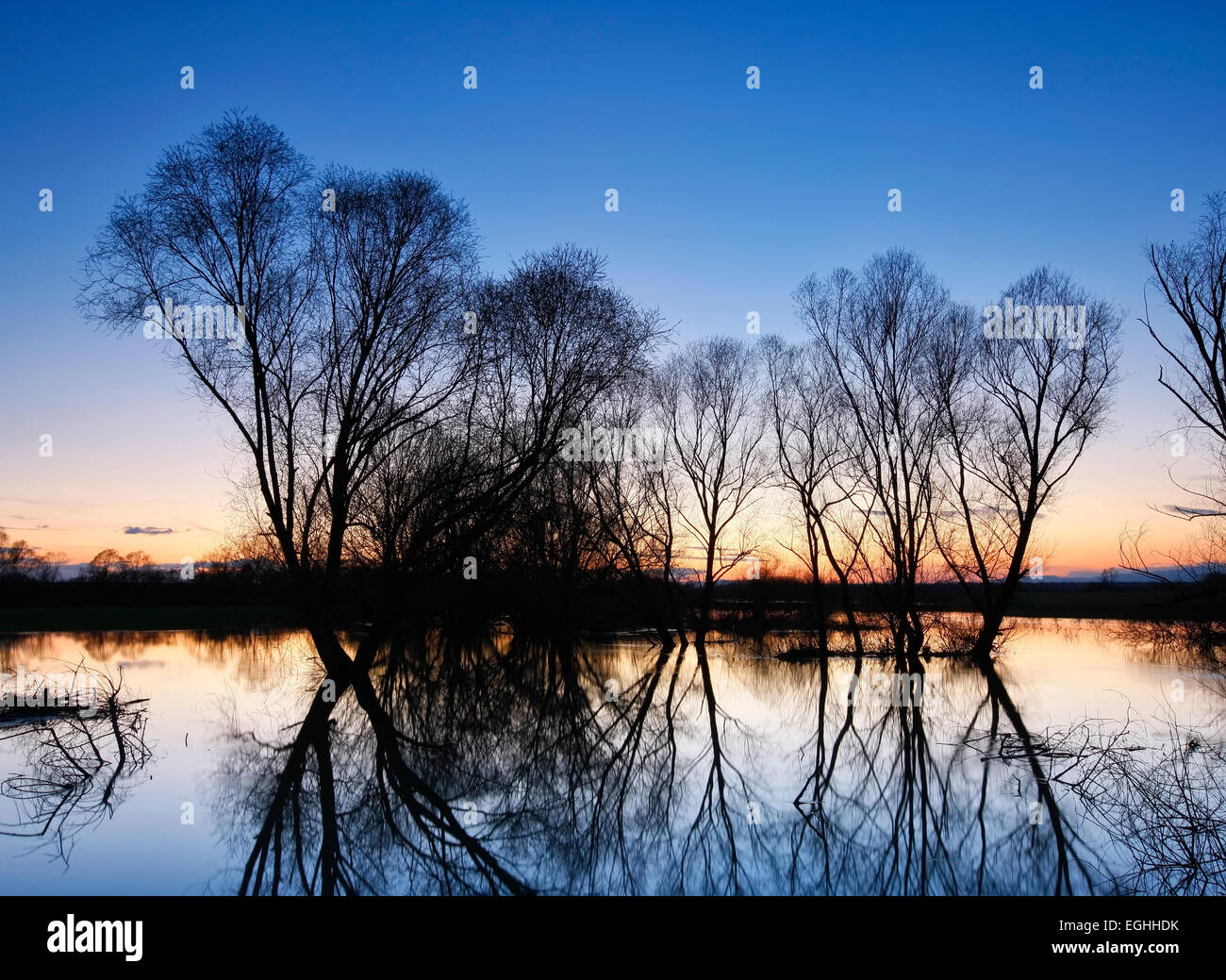 Sunset trees, landscape Stock Photo - Alamy