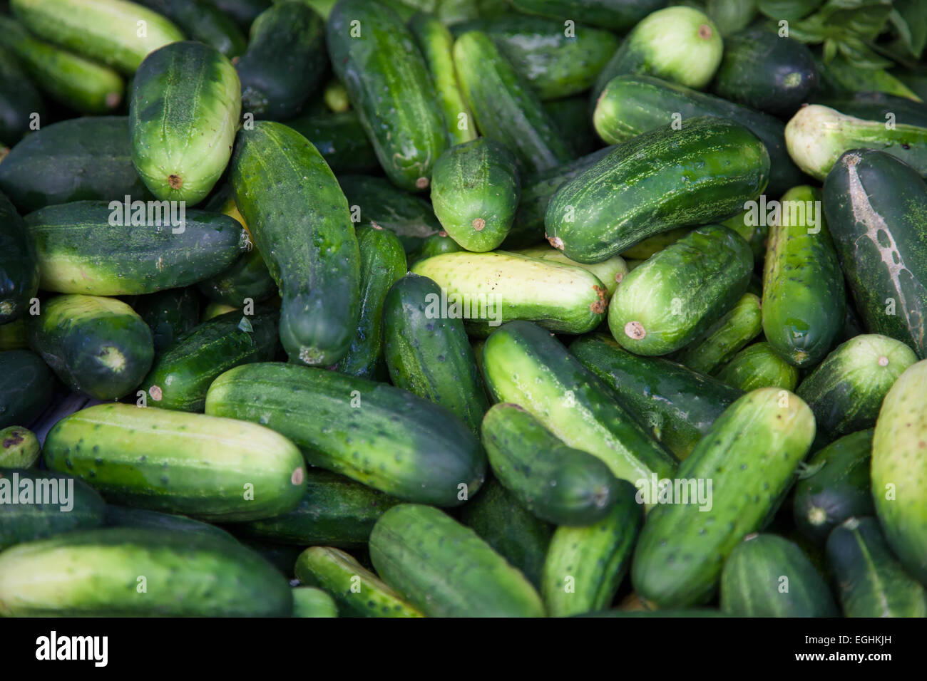 Market Pickles Stock Photos & Market Pickles Stock Images - Alamy