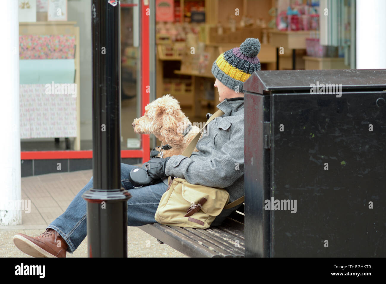 Man and Cockapoo dog sat on bench cuddling in Bedford town centre ...