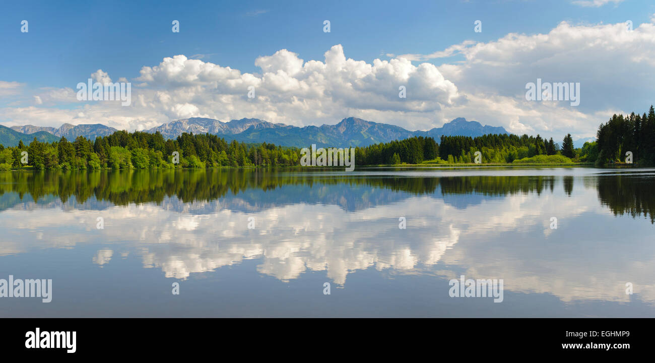 wide panorama landscape with lake Forggensee and alps mountains in ...