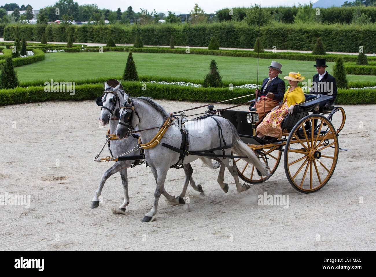 Curricle hi-res stock photography and images - Alamy