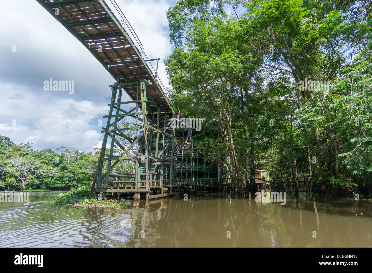 Amazon forest and wooden bridge built for anaconda film Stock Photo - Alamy