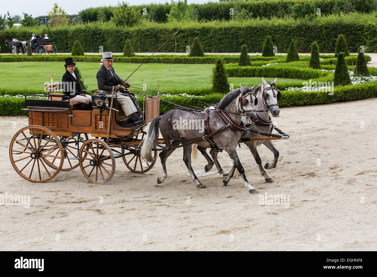 International competition for traditional carriages "La Venaria Reale ...