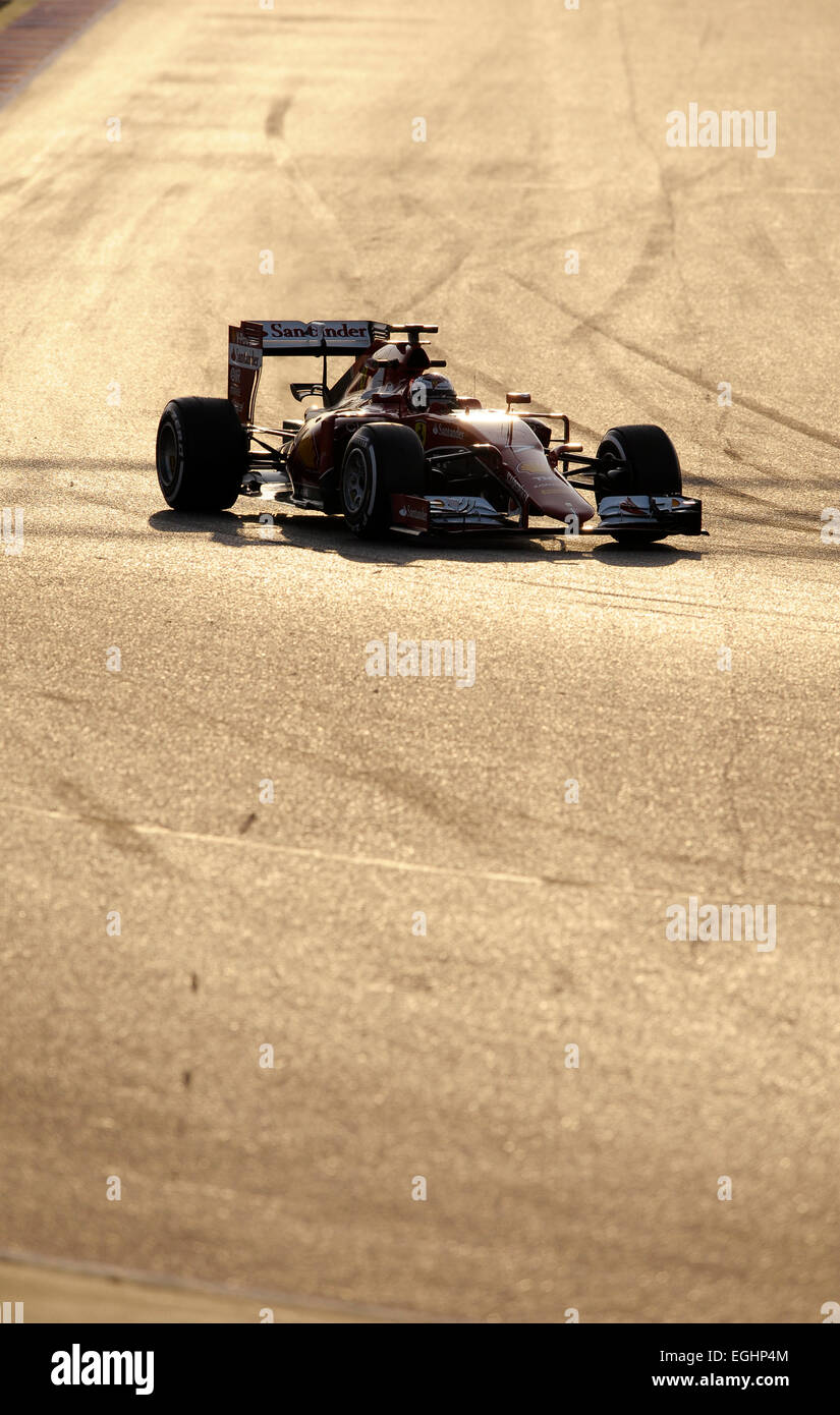 Kimi rsikksnen hi-res stock photography and images - Alamy