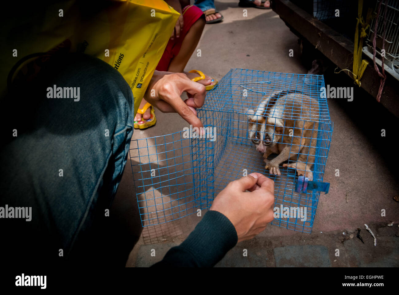A roadside animal vendor near an animal market that also sells wildlife ...