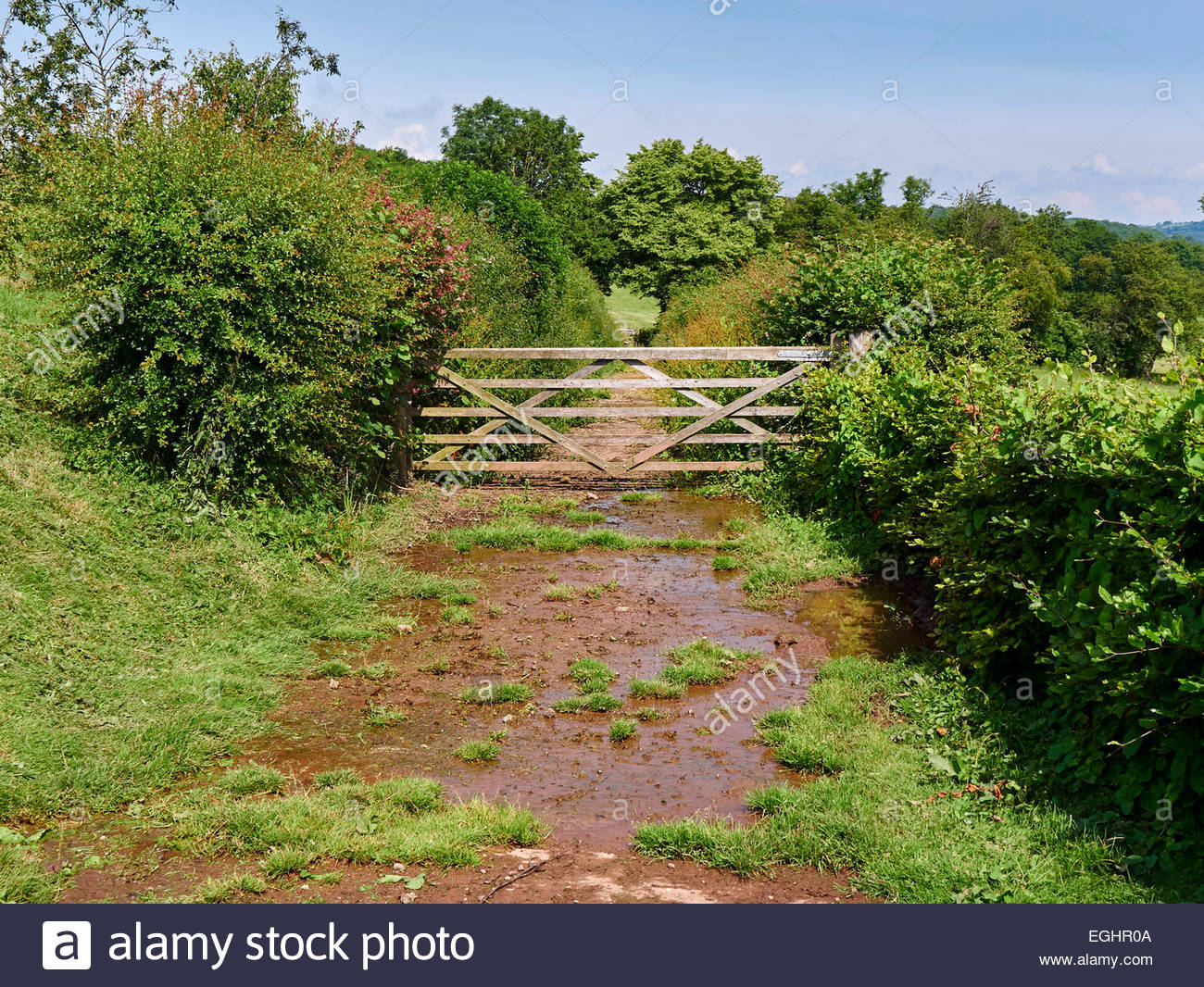 Muddy Farmland High Resolution Stock Photography and Images - Alamy