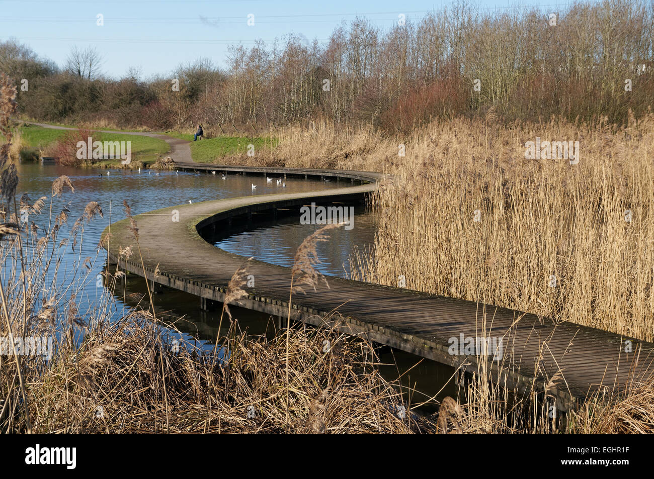 Curved Walkway, Lamby Lake, Tredelerch Park, Lamby Way, Cardiff, South ...