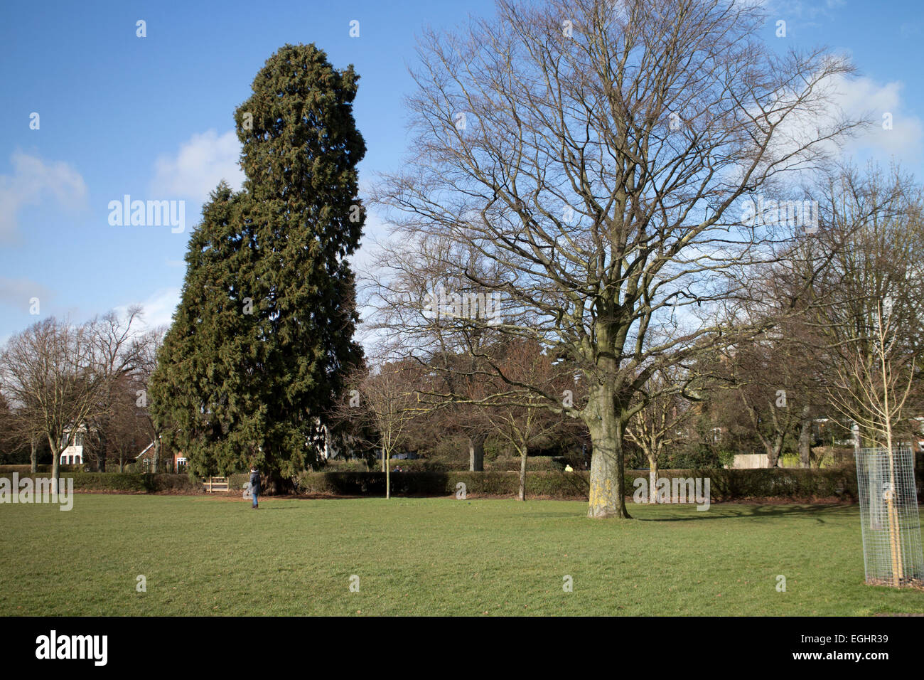 Stoke Green, Coventry, West Midlands, England, UK Stock Photo - Alamy