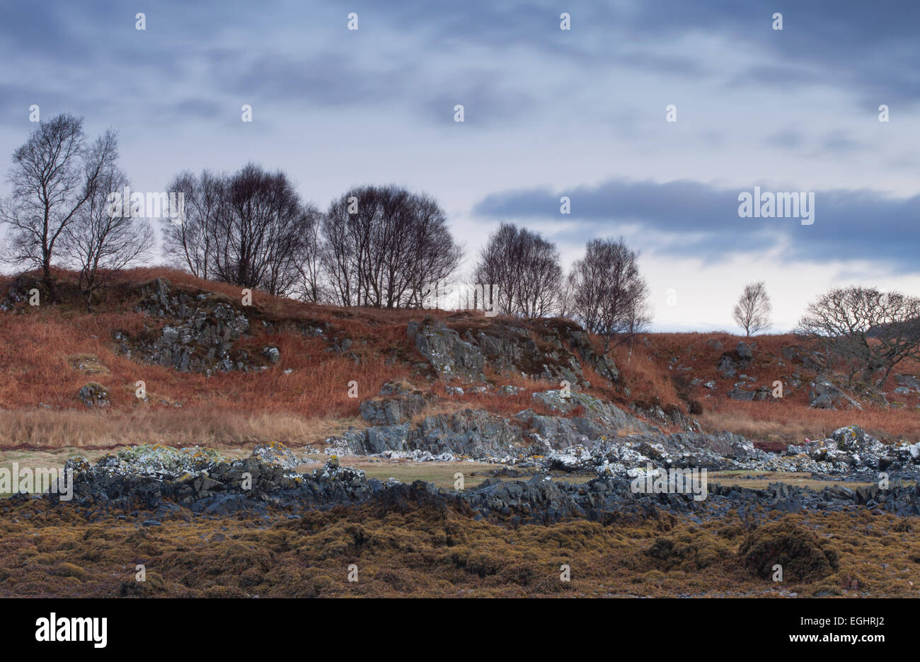 The shoreline of Loch na Dal, Isle of Skye, Scotland Stock Photo - Alamy