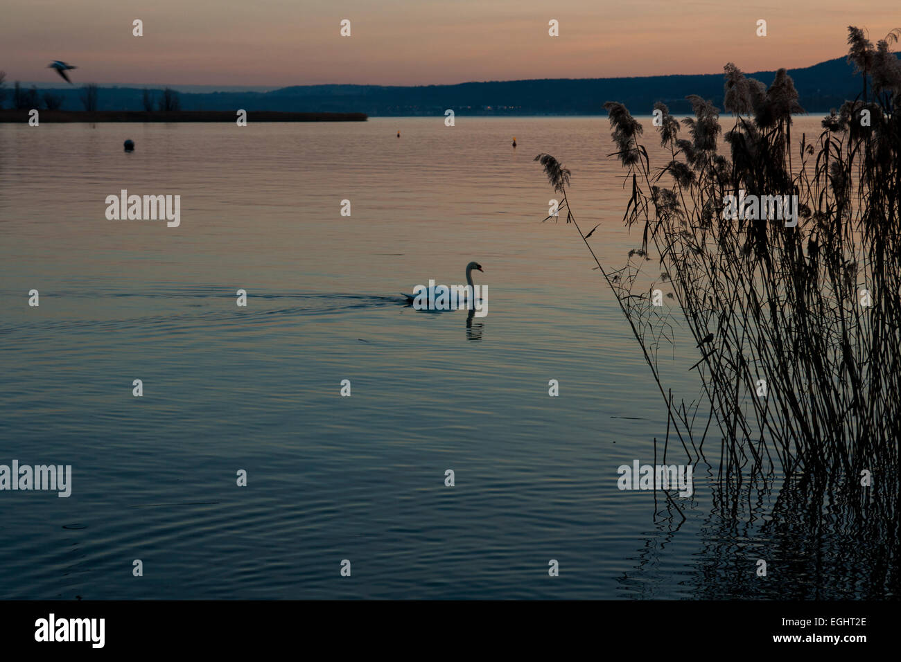 Lakeside of Angera, Lago Maggiore, Lombardia, Italy Stock Photo - Alamy