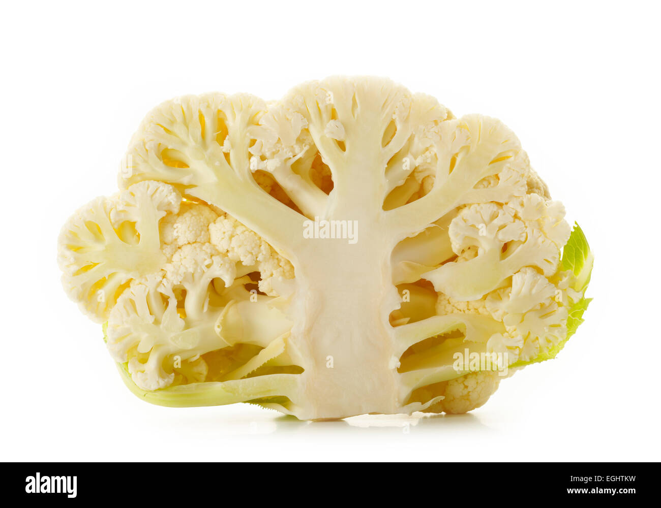 Structure healthy leaf Cut Out Stock Images & Pictures - Alamy