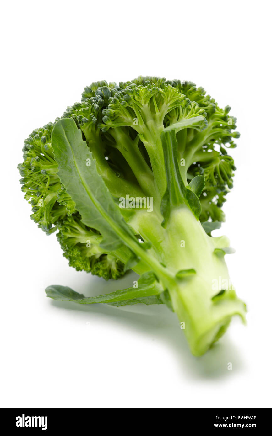 Fresh broccoli on white with soft shadow Stock Photo - Alamy