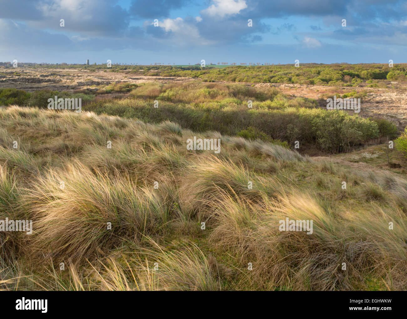 A view of the sand dunes at Winterton, Norfolk, England Stock Photo - Alamy