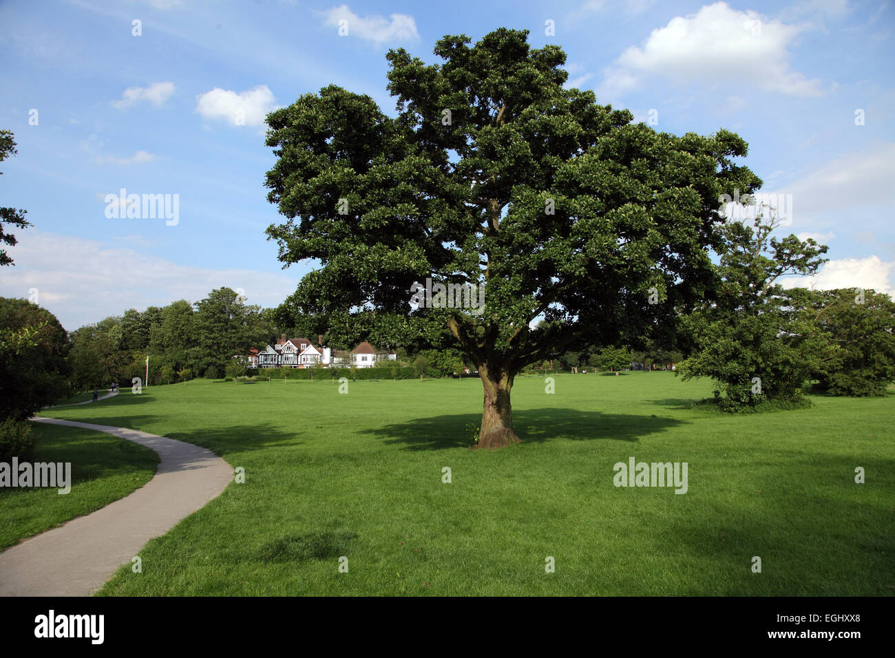 Knowle park hi-res stock photography and images - Alamy