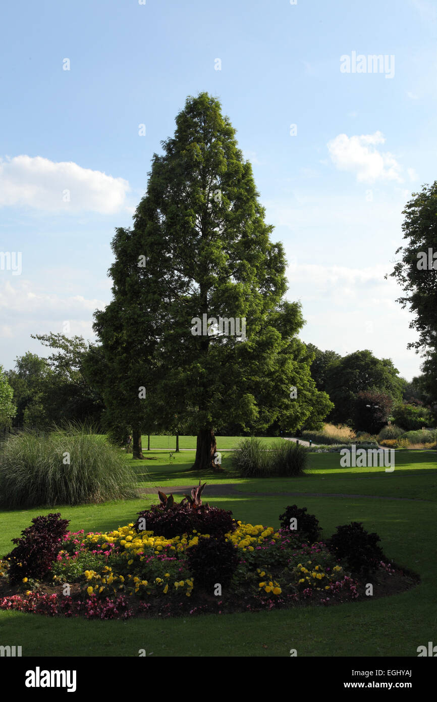 Solihull recreation hi-res stock photography and images - Alamy