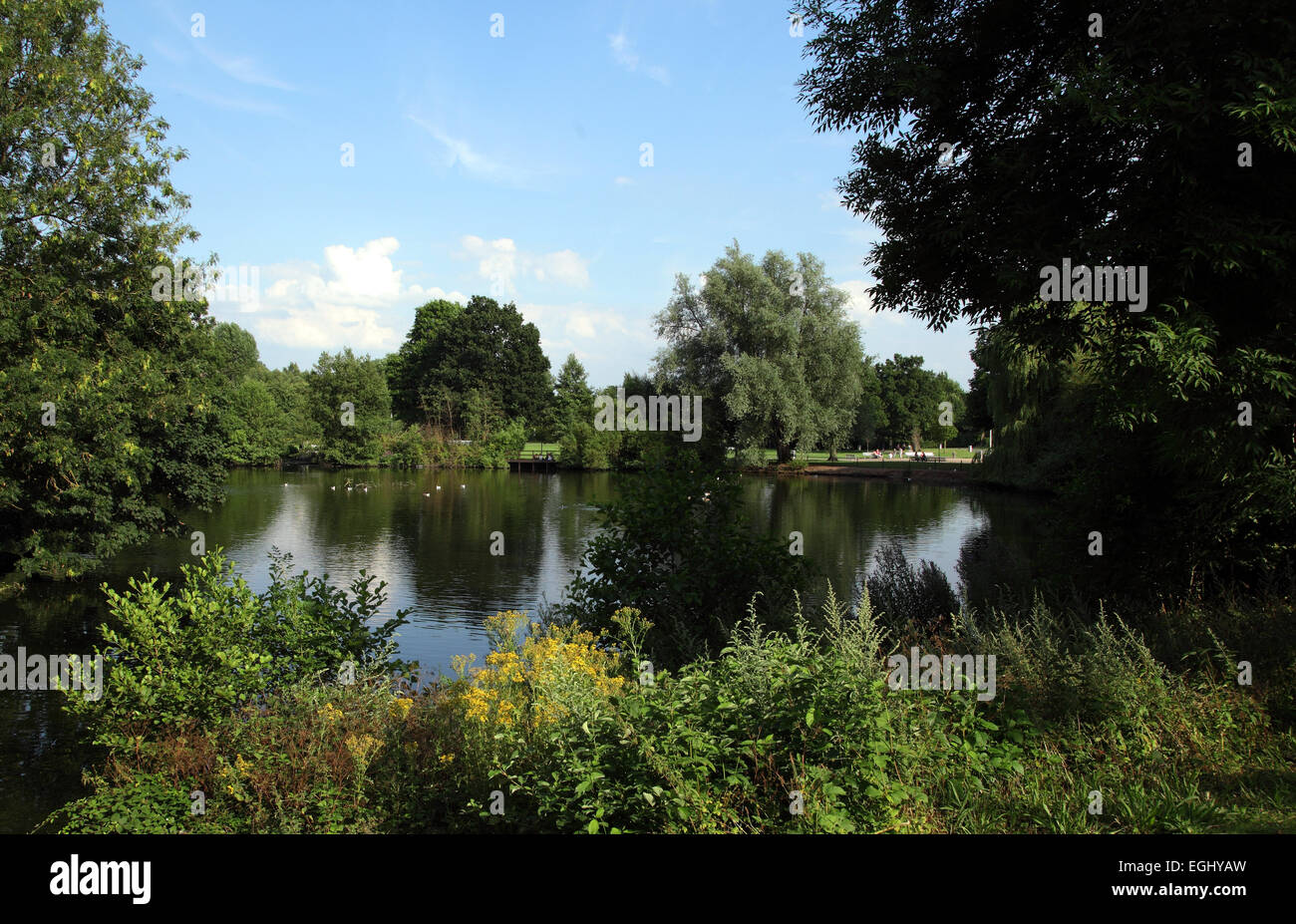 The lake in Tudor Grange Park, Solihull Stock Photo - Alamy