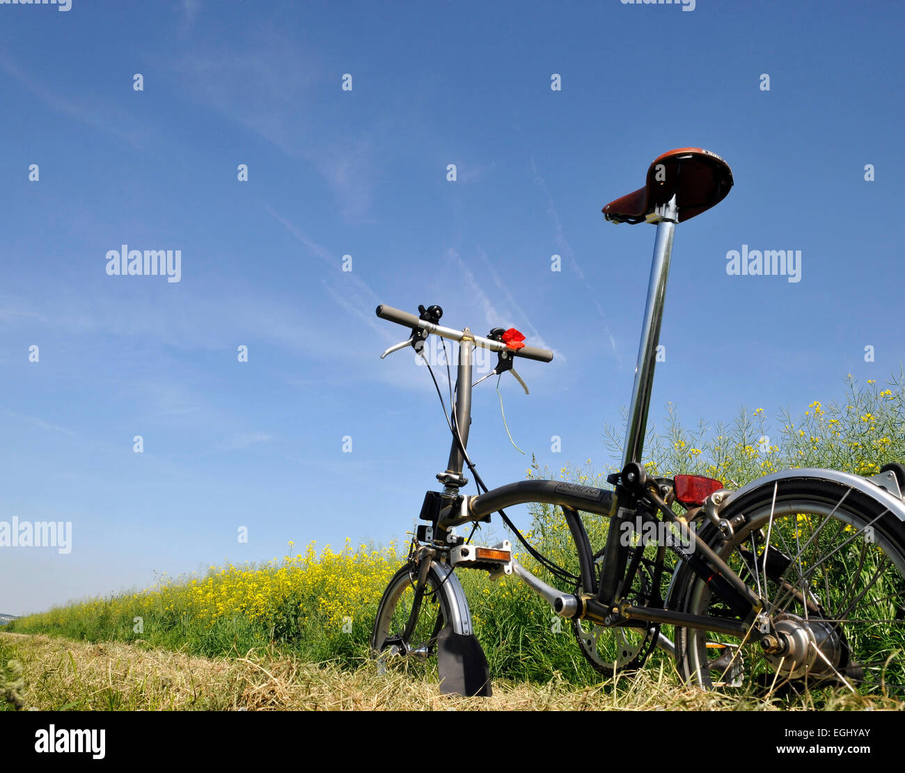 Bicycle with poppy on a country lane in summer, germany europe Stock ...