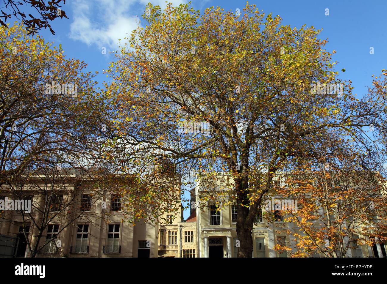 Regency buildings and terraces in Cheltenham, Gloucestershire Stock ...