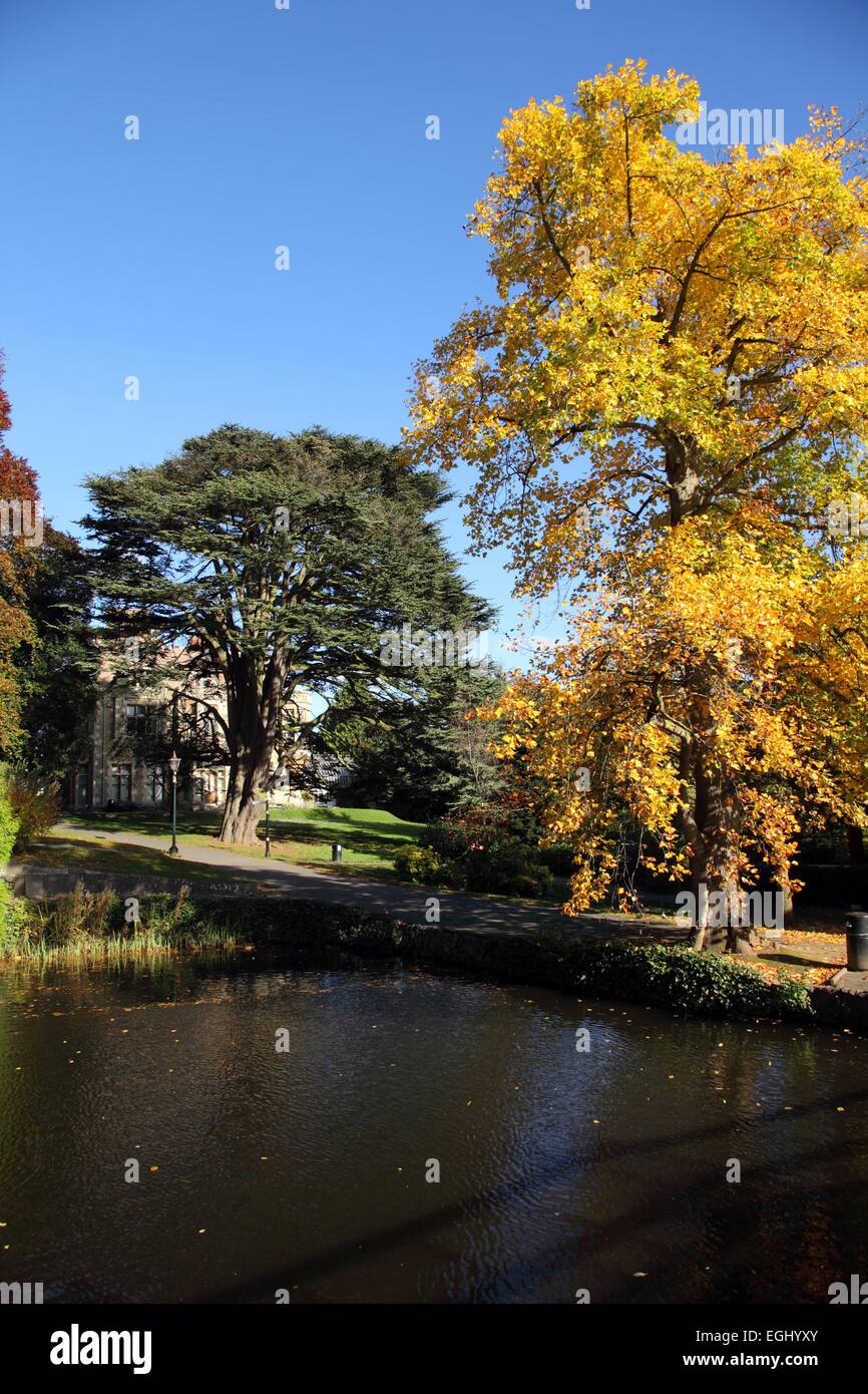Winter gardens great malvern worcestershire hi-res stock photography ...