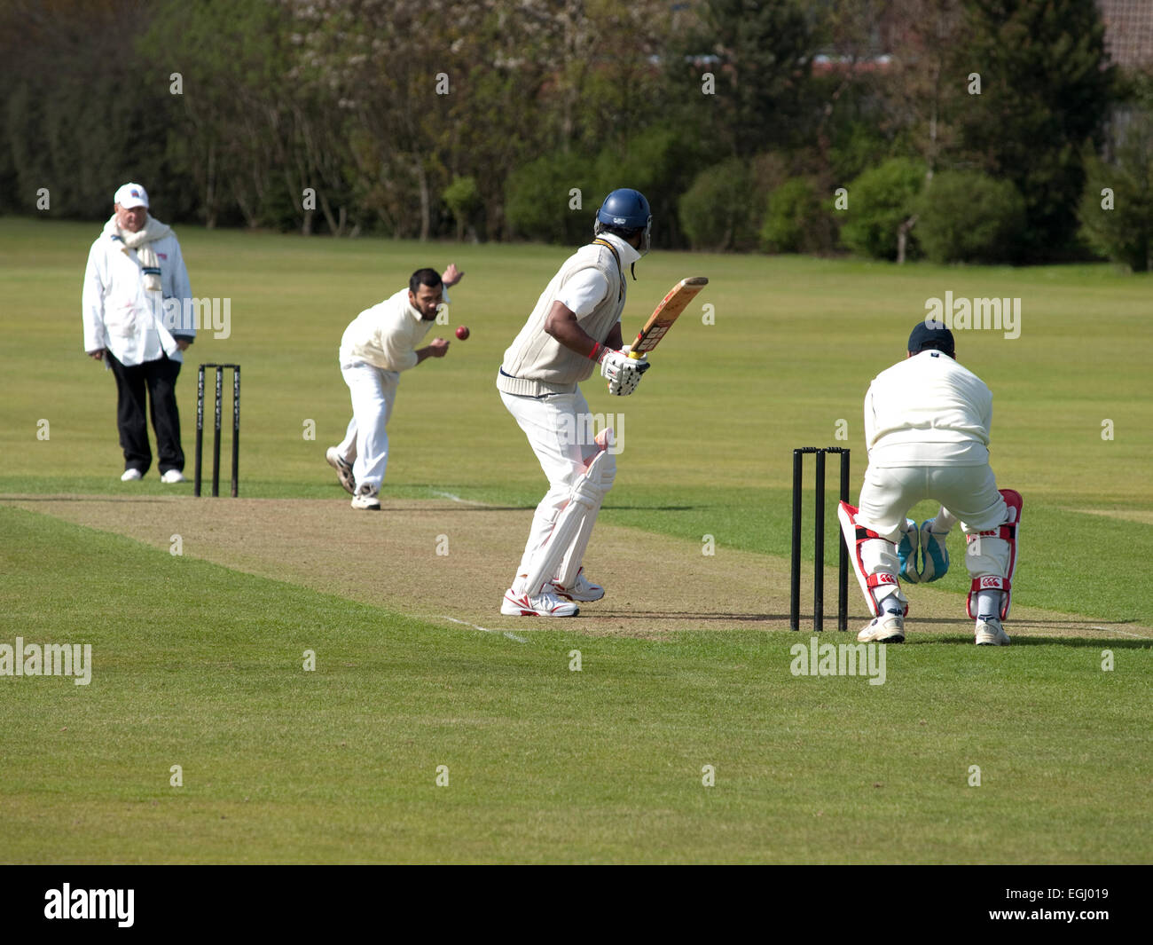 Playing cricket at a local league match Stock Photo - Alamy