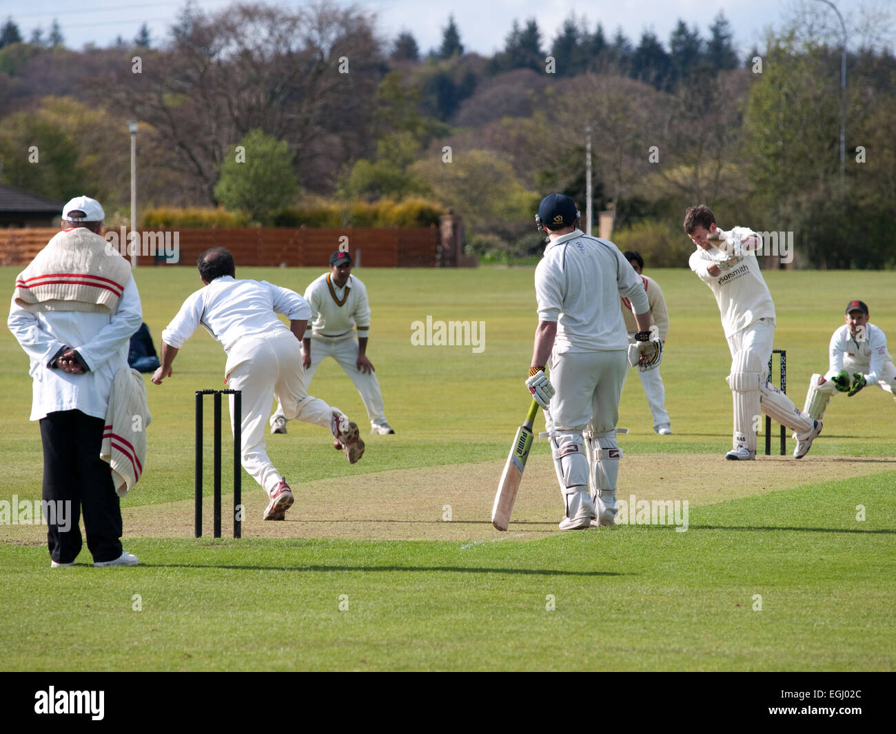 Playing cricket at a local league match Stock Photo - Alamy