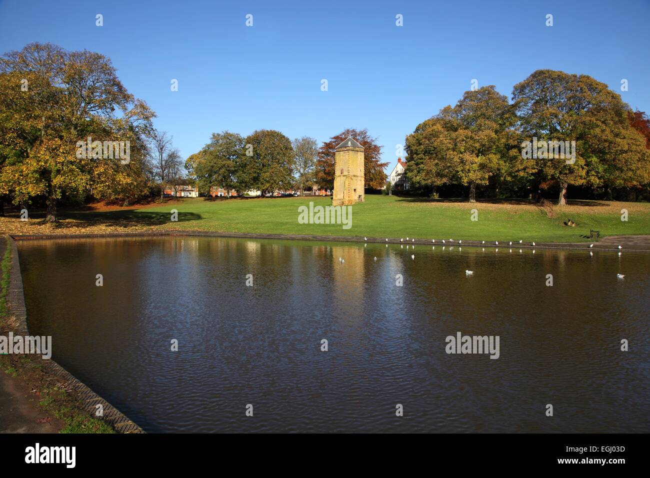 Lakes at Abington Park, Weston Favell, Northampton Stock Photo - Alamy