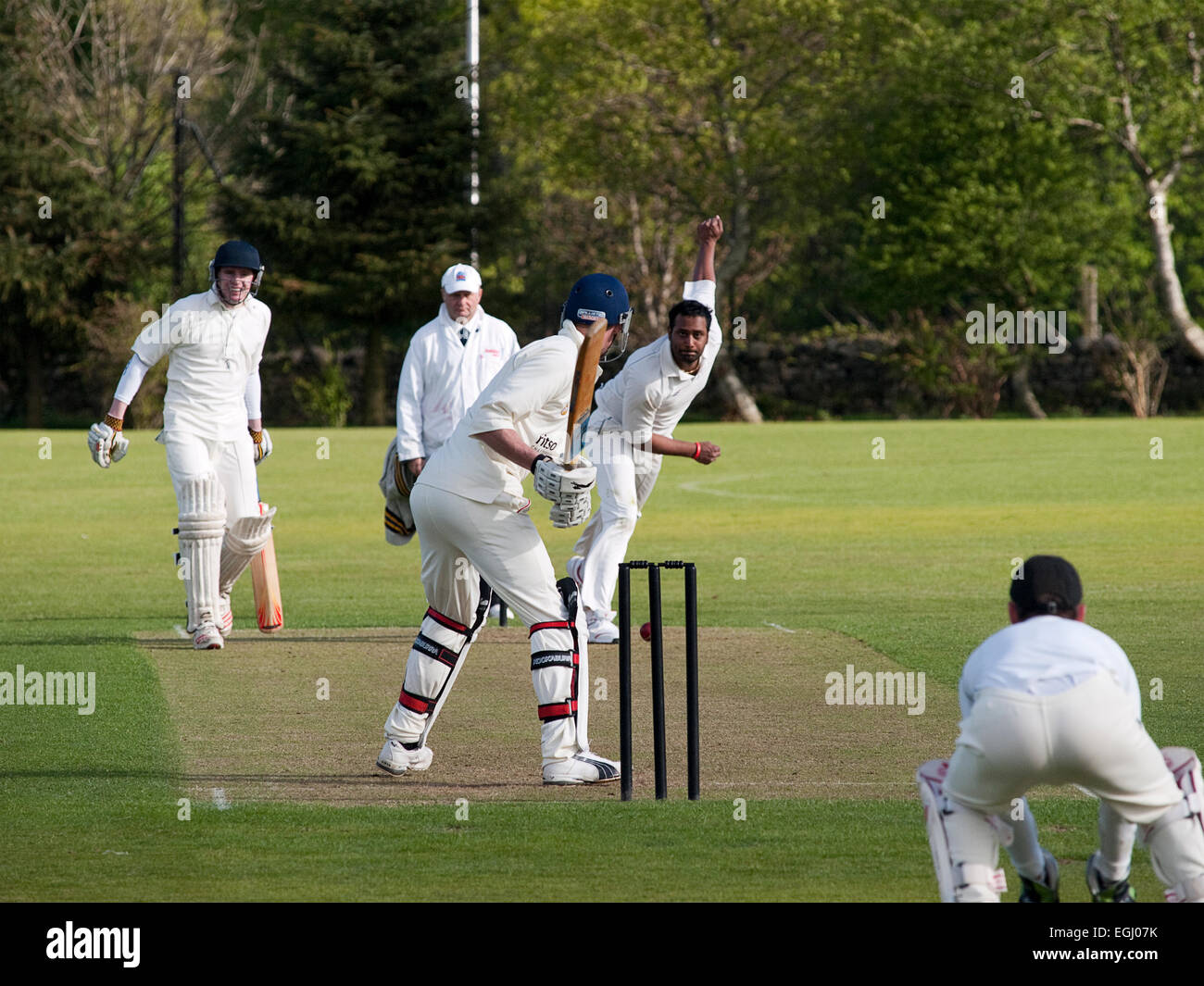 Playing cricket at a local league match Stock Photo - Alamy