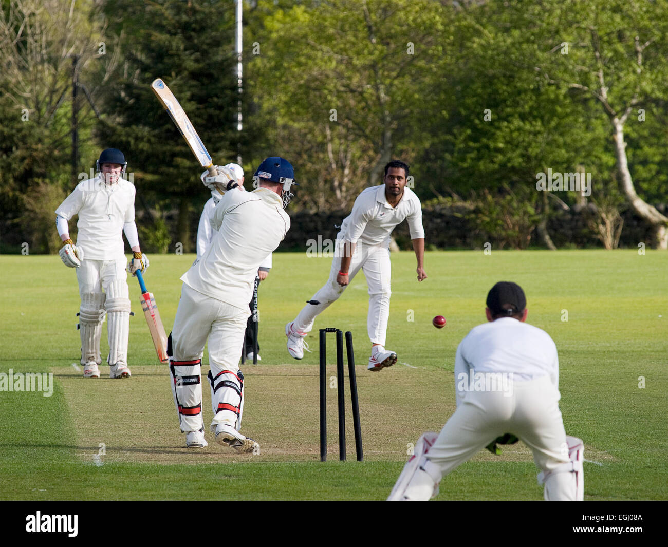 Playing cricket at a local league match Stock Photo - Alamy