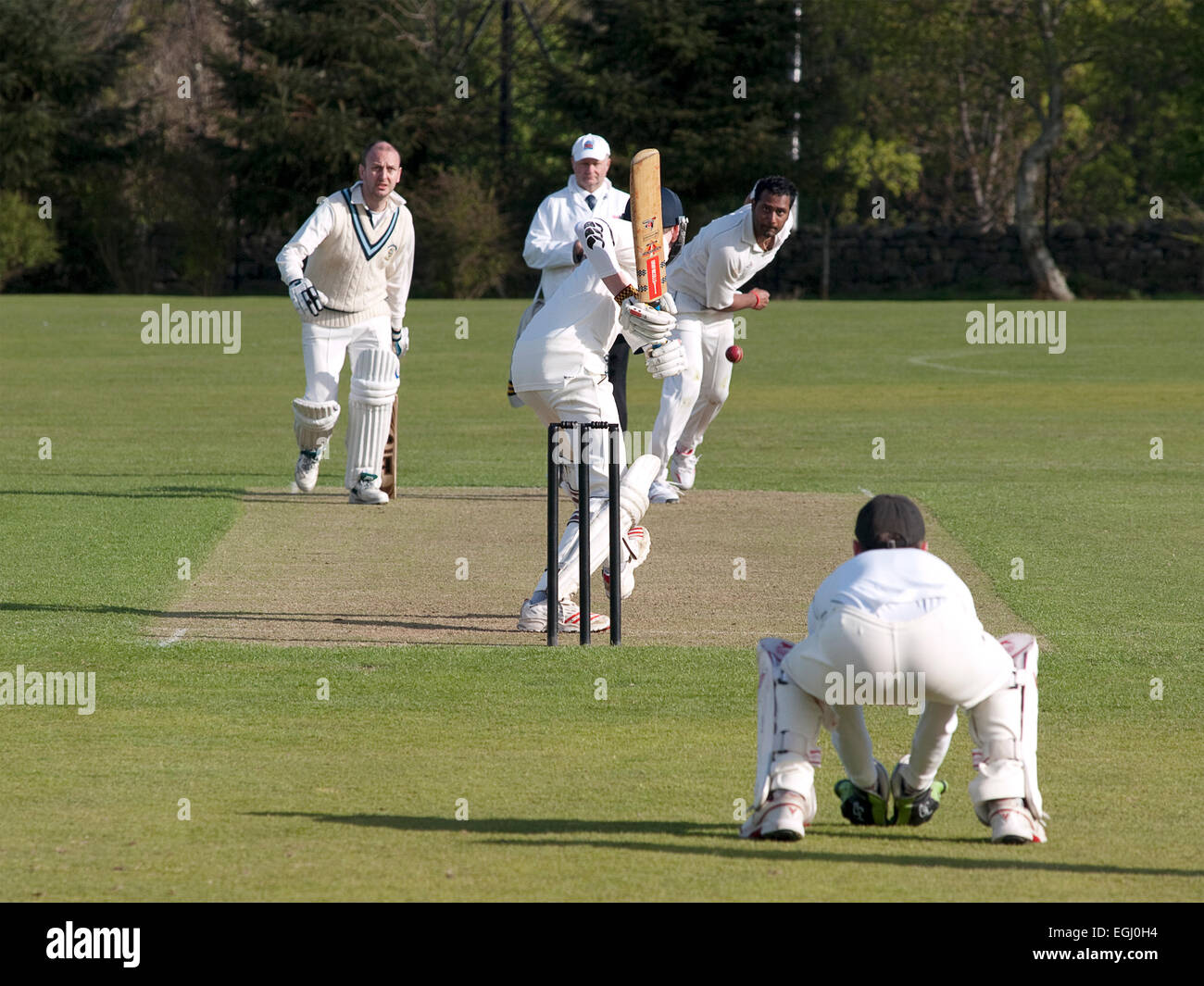 Playing cricket at a local league match Stock Photo - Alamy