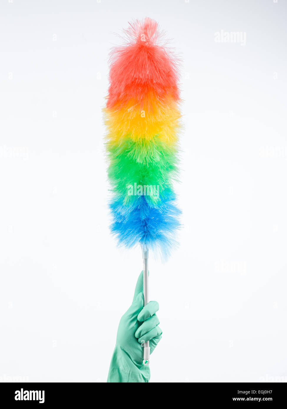 human hand wearing rubber glove holding up feather duster Stock Photo ...