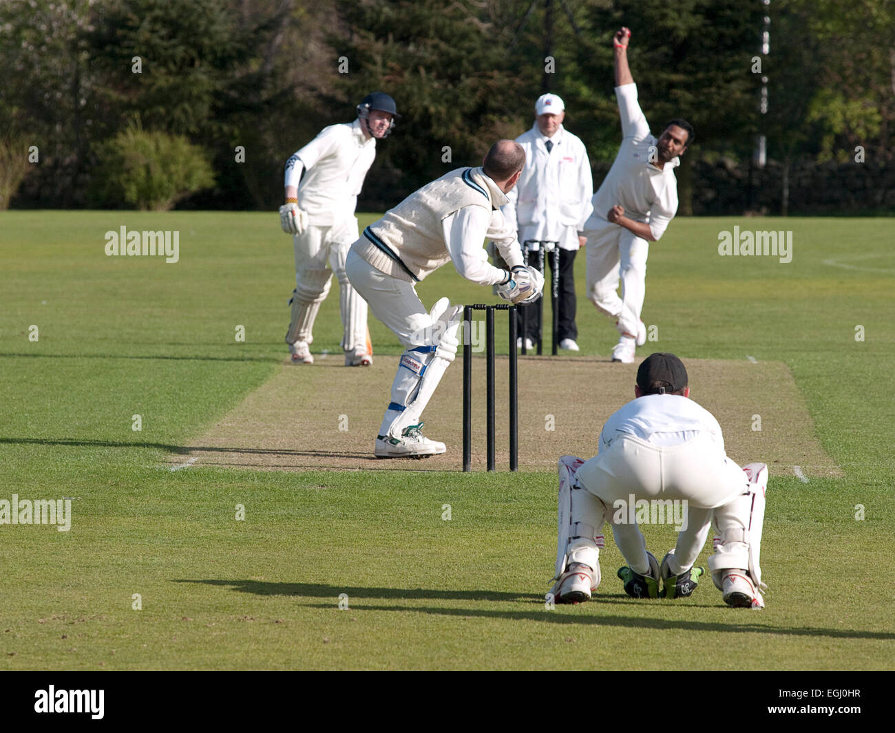 Playing cricket at a local league match Stock Photo - Alamy