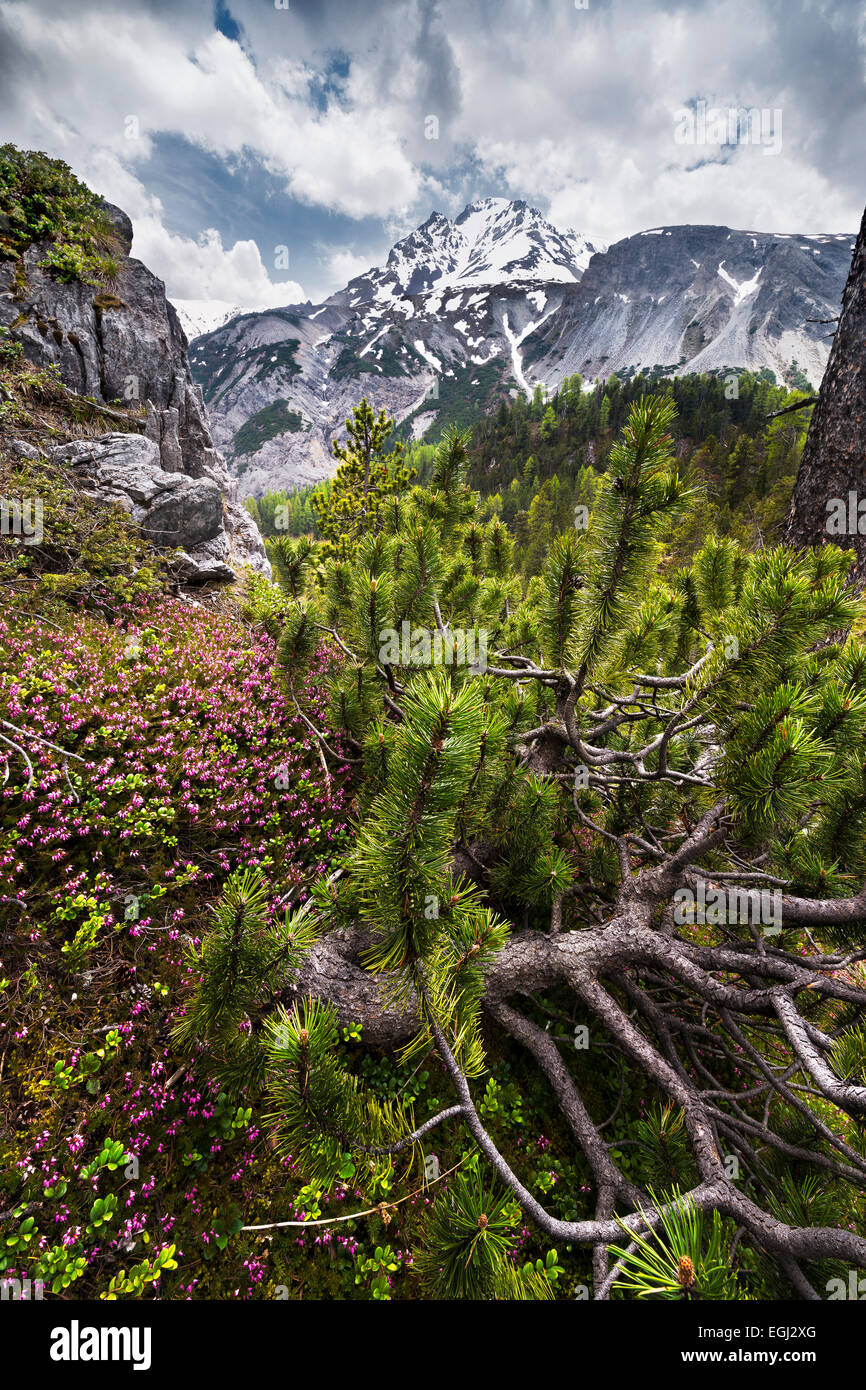 The Alps, Switzerland, Engadine, alpine landscape Stock Photo - Alamy