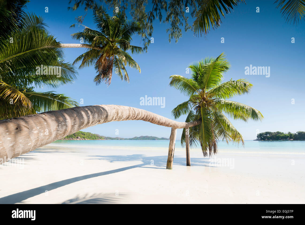 Africa, Seychelles, Indian ocean, Praslin, Anse Volbert, beach Stock ...