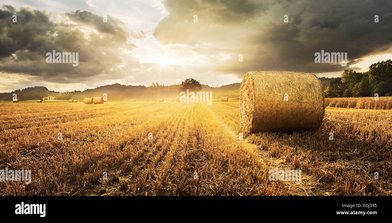 Germany, Bavaria, Augsburg country, Schwabmünchen, harvest, hay, straw ...