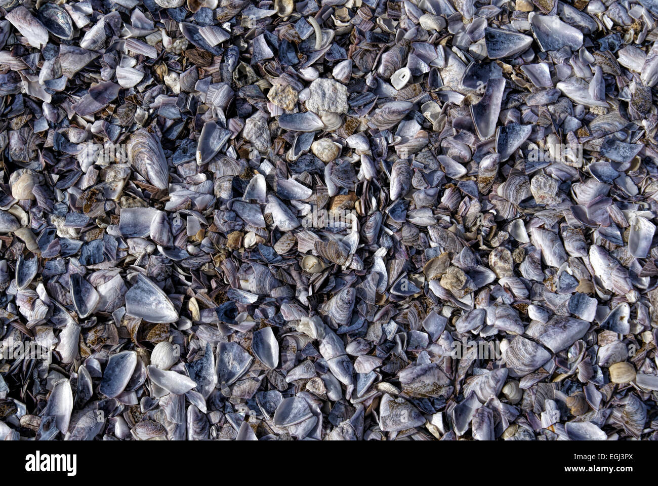 Covering the ground hi-res stock photography and images - Alamy