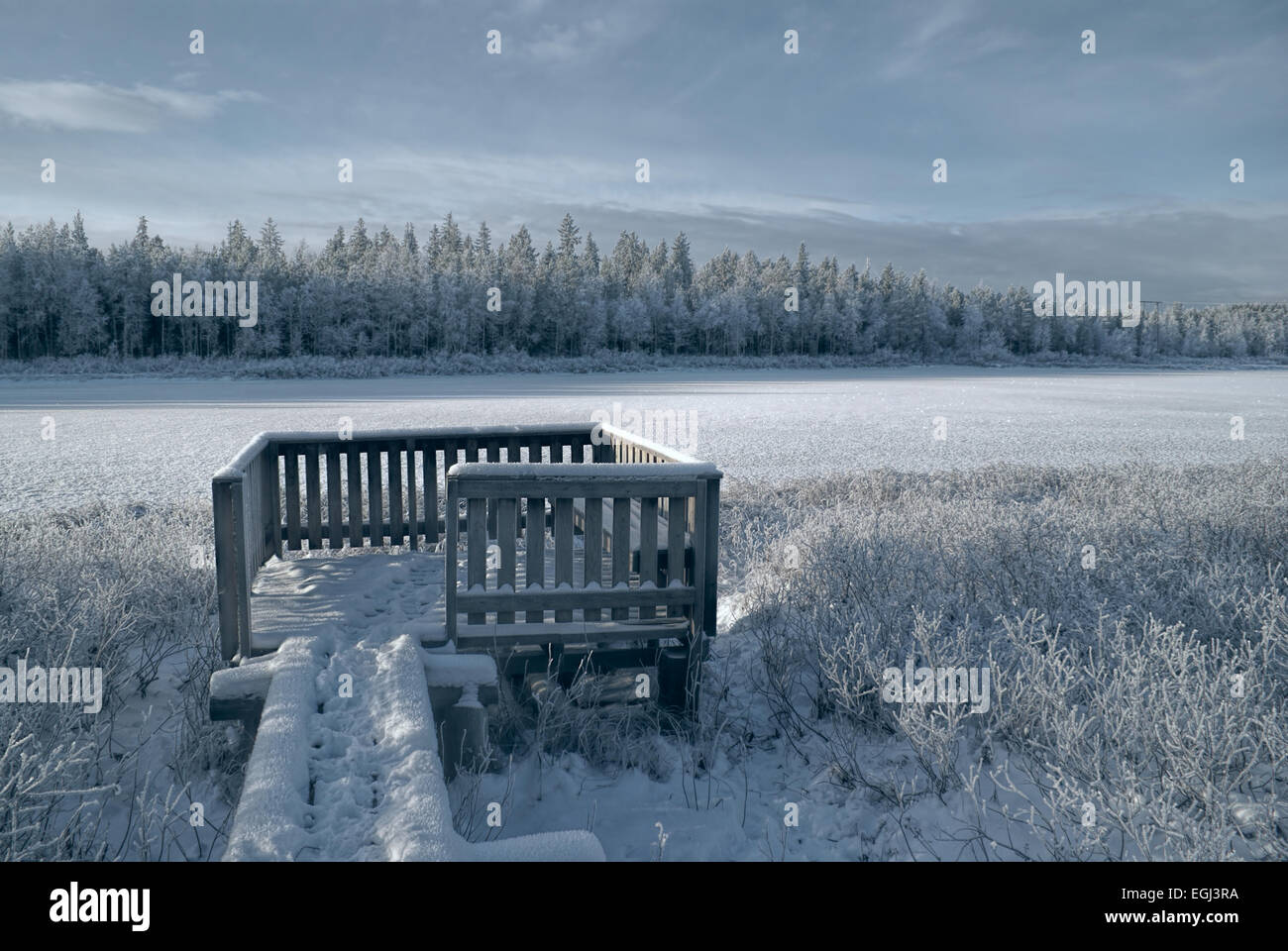 Gloomy view of a frozen forest and a wooden viewpoint Stock Photo - Alamy