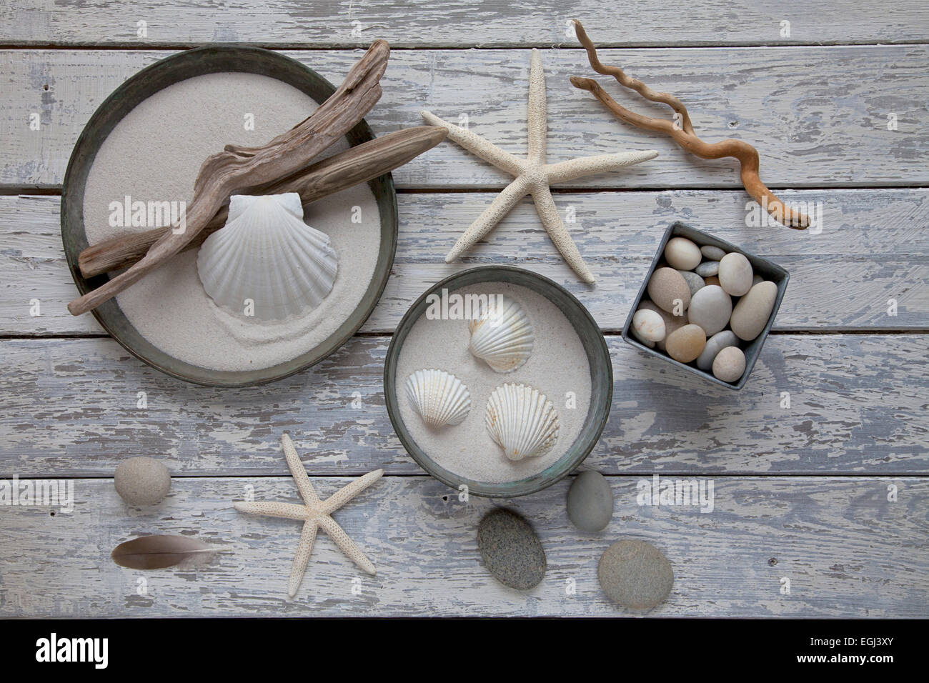 Still life, natural materials, seashells, stones, starfishes, driftwood ...