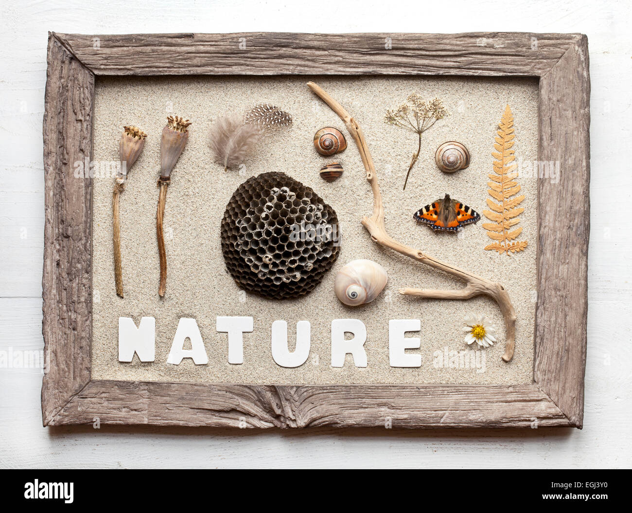 Materials collection hi-res stock photography and images - Alamy