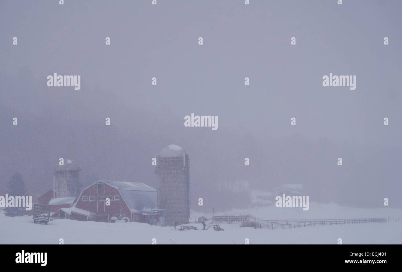 Dairy Farm in a Snowstorm, West Arlington, Vermont, USA Stock Photo - Alamy