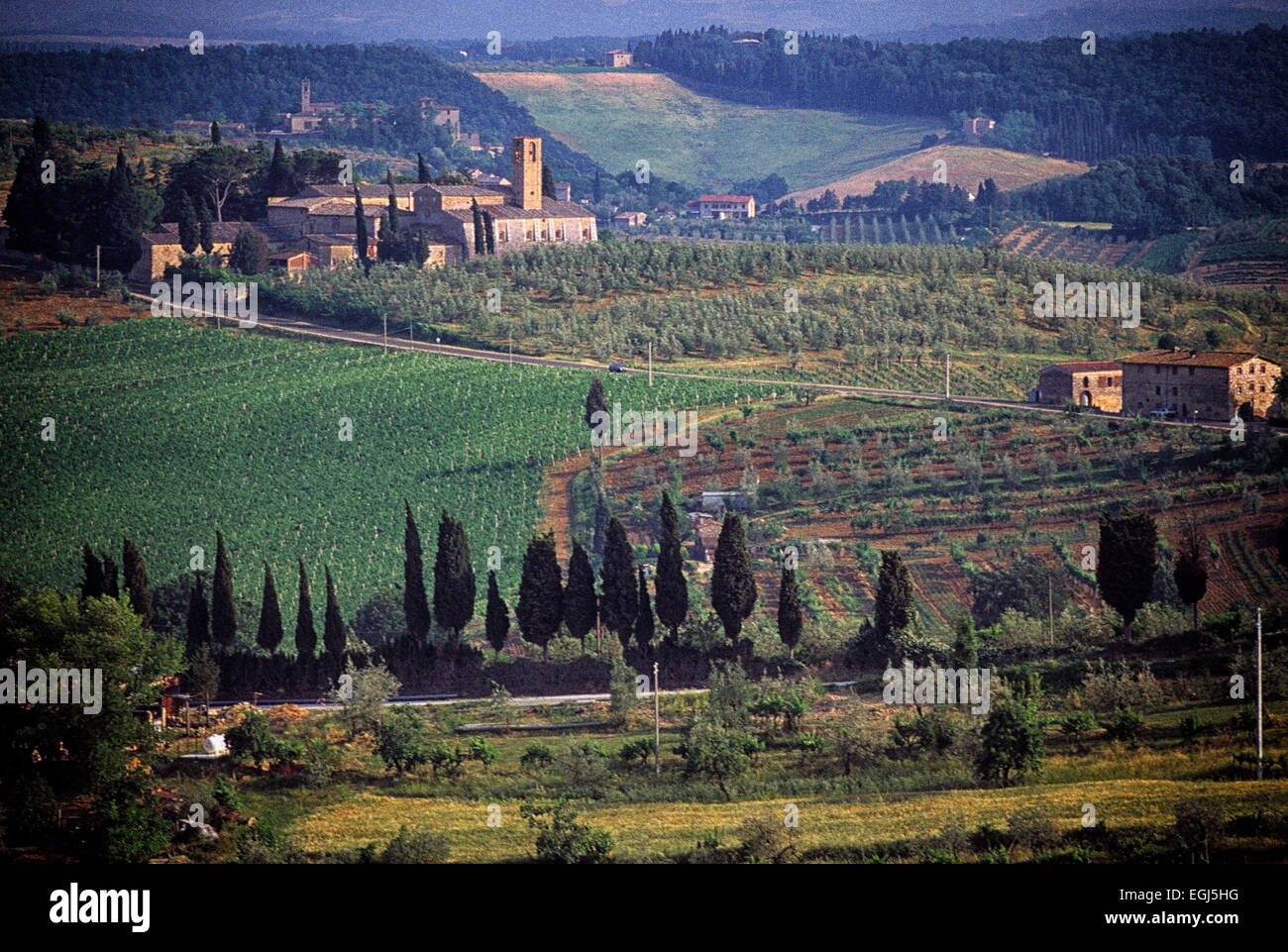Tuscany landscape near Siena Stock Photo - Alamy