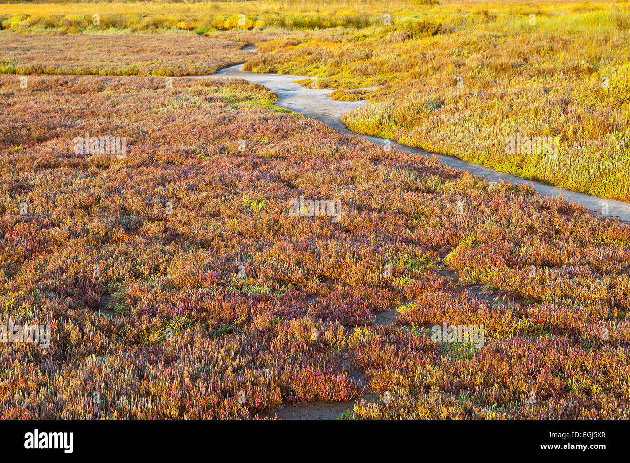 Italy, Sardinia, dry lagoon Stock Photo - Alamy