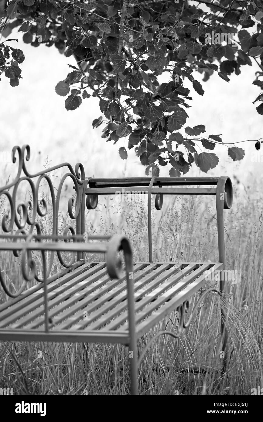 Bench leaves Black and White Stock Photos & Images - Alamy