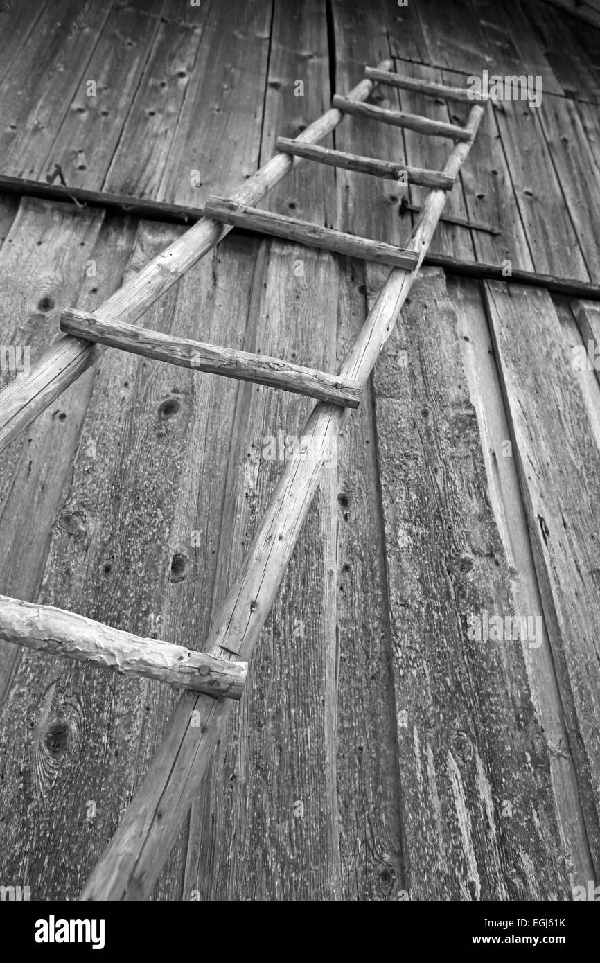 Ladder on wooden wall, b/w Stock Photo - Alamy
