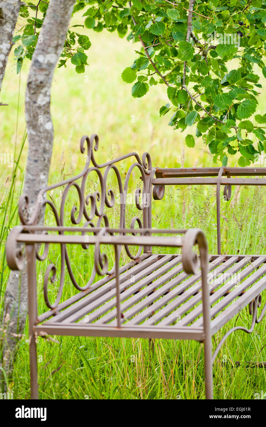 Park bench under tree Stock Photo - Alamy