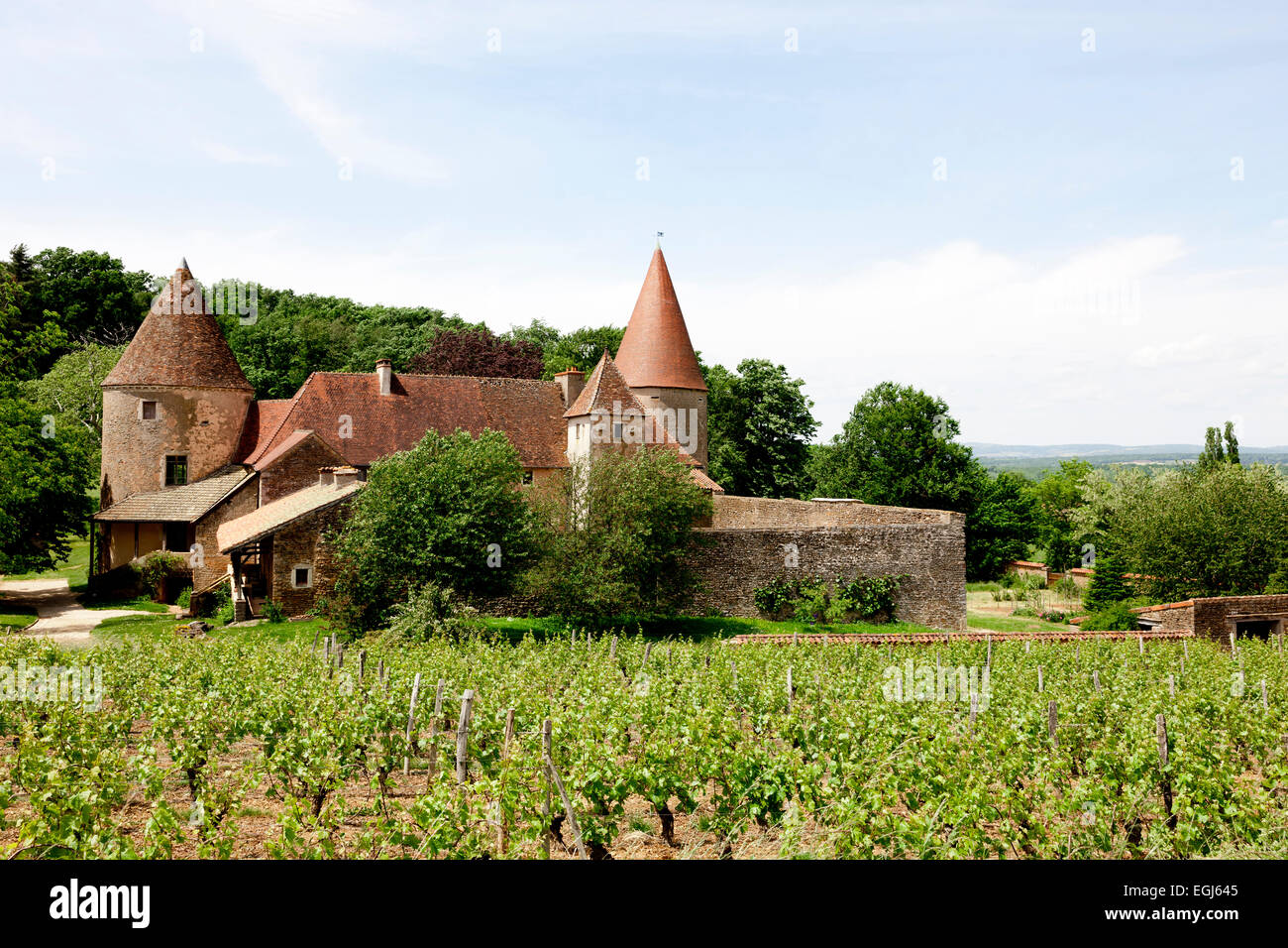 Castle in the country hi-res stock photography and images - Alamy